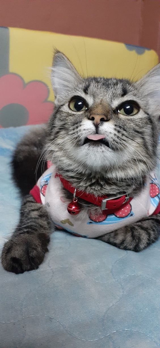 I love her bleps, just beautiful! | Scrolller