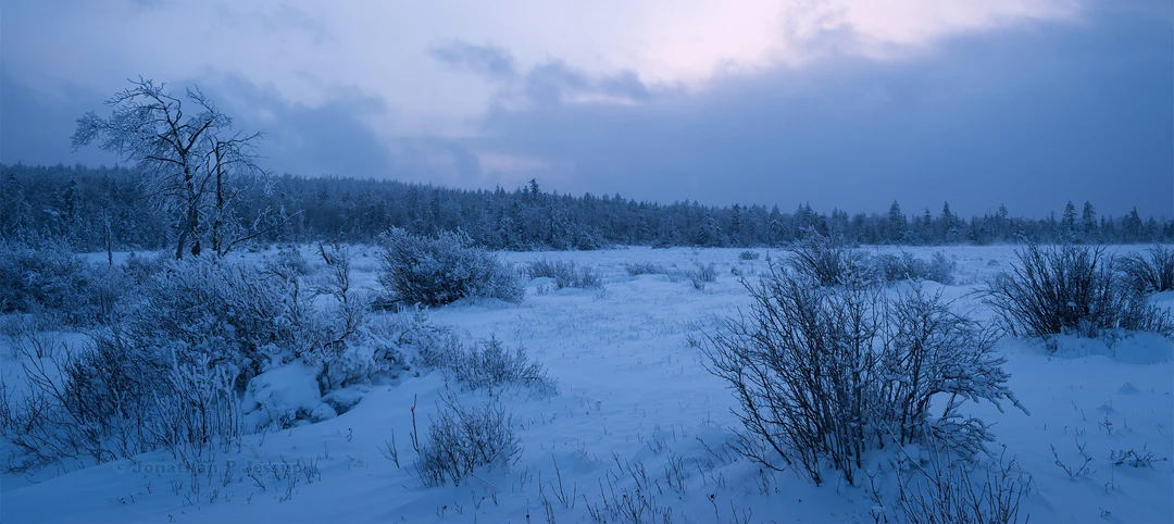Frozen bog [OC] | Scrolller