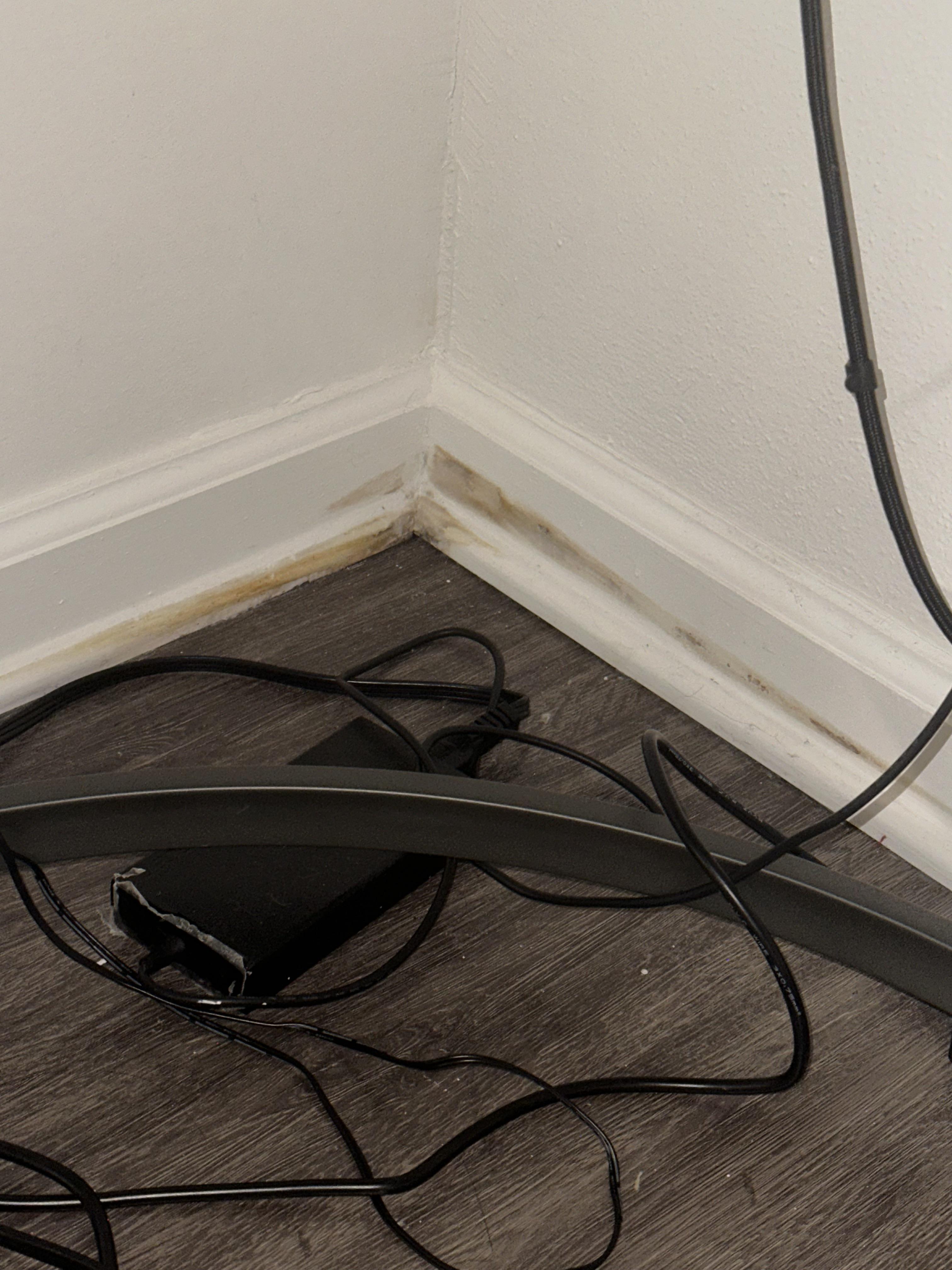 Wall damage? | Scrolller