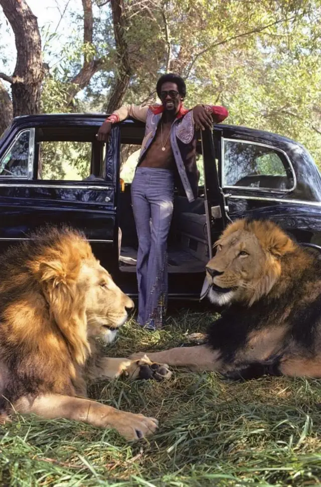 I the 70’s David Ruffin had a photo shoot, with some real (Detroit) lions! | Scrolller