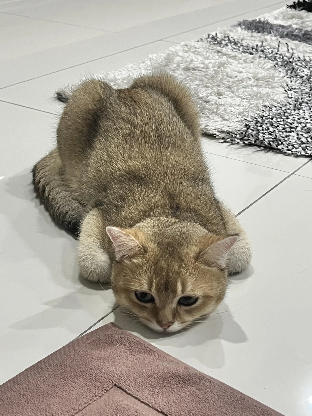 Not enough yeast | Scrolller