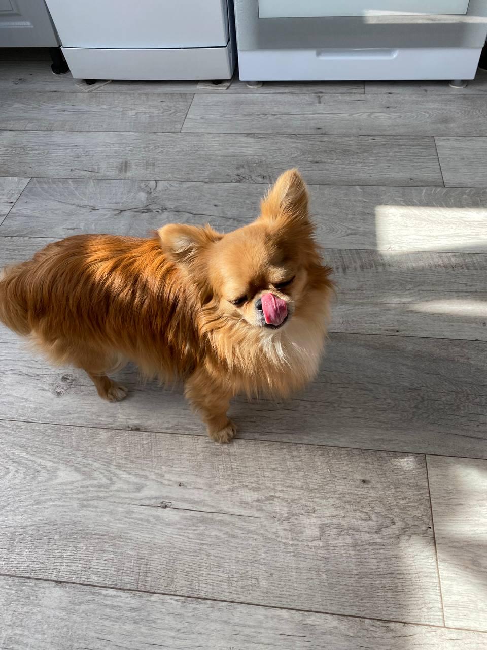 So yummy nose | Scrolller