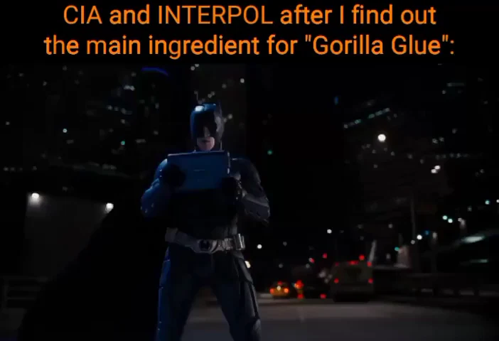 Where is Harambe? Is he safe? | Scrolller