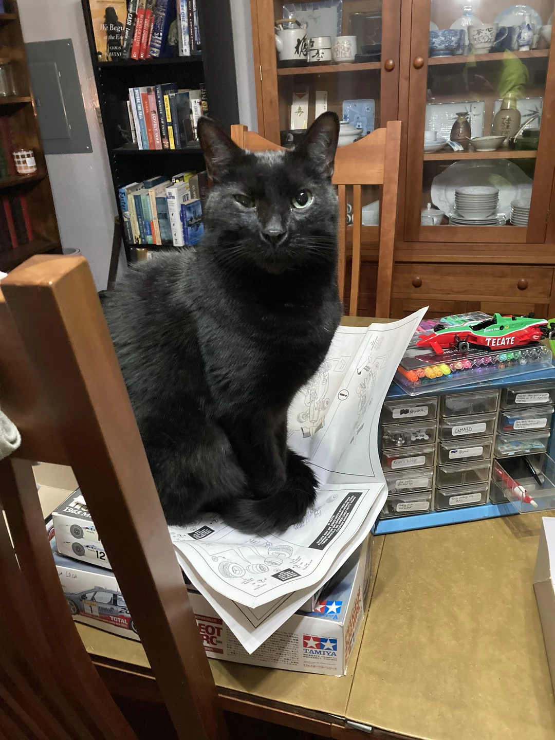 Unintentional trap. Thanks for the help Erebus! | Scrolller