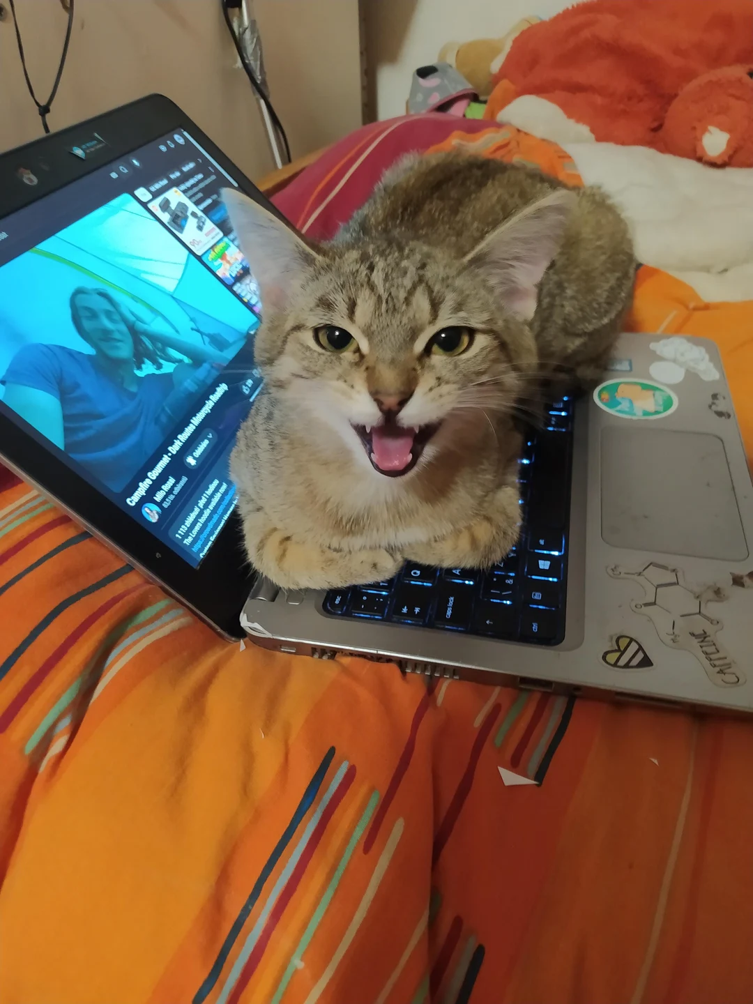 Computer loaf | Scrolller