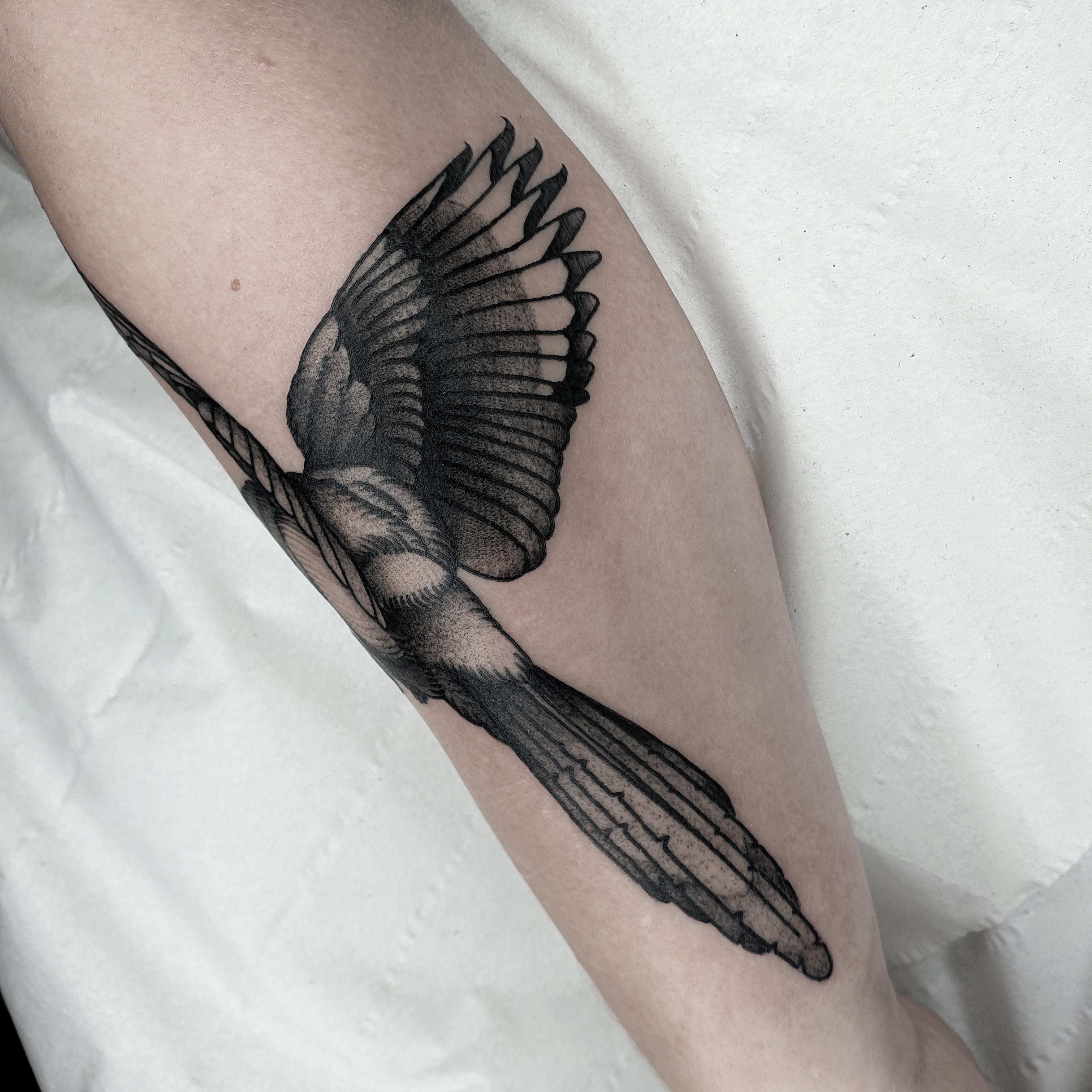 Magpie done today at Live Fast Temple Bar by Joe Murphy , Dublin , Ireland. | Scrolller