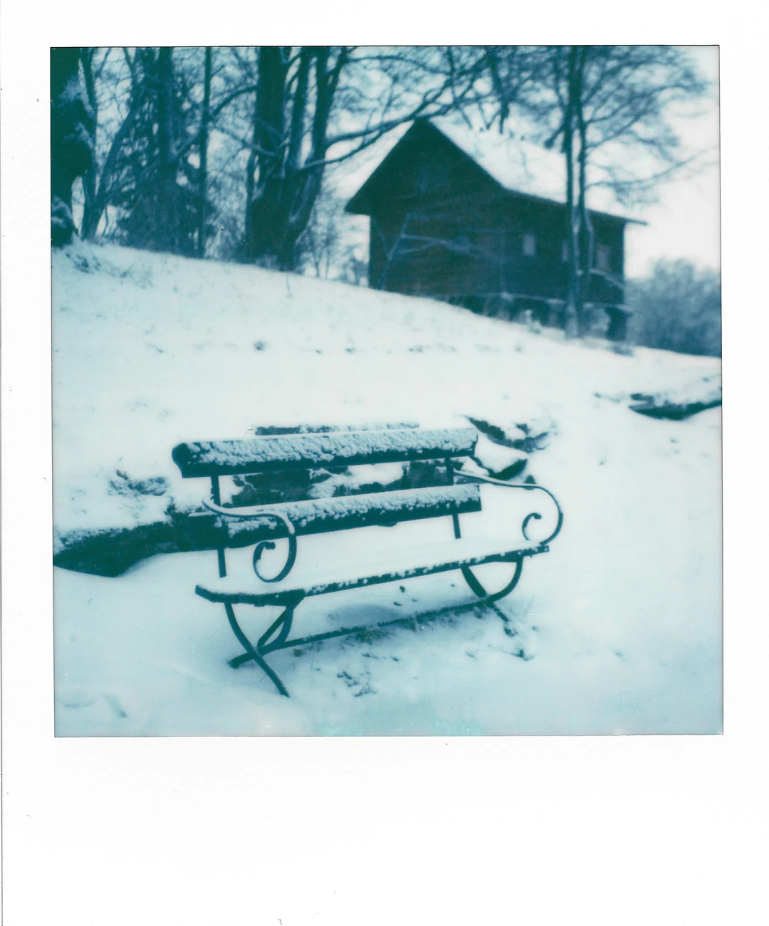 Winter photography with converted SX-70 | Scrolller