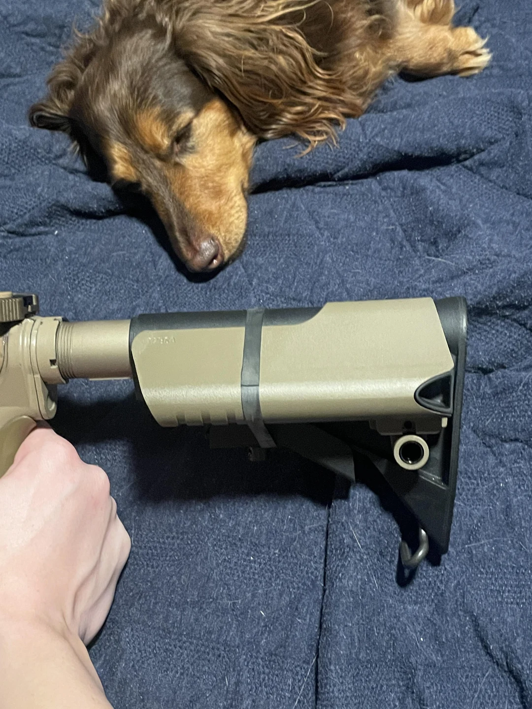 B5 enhanced sopmod at home: | Scrolller