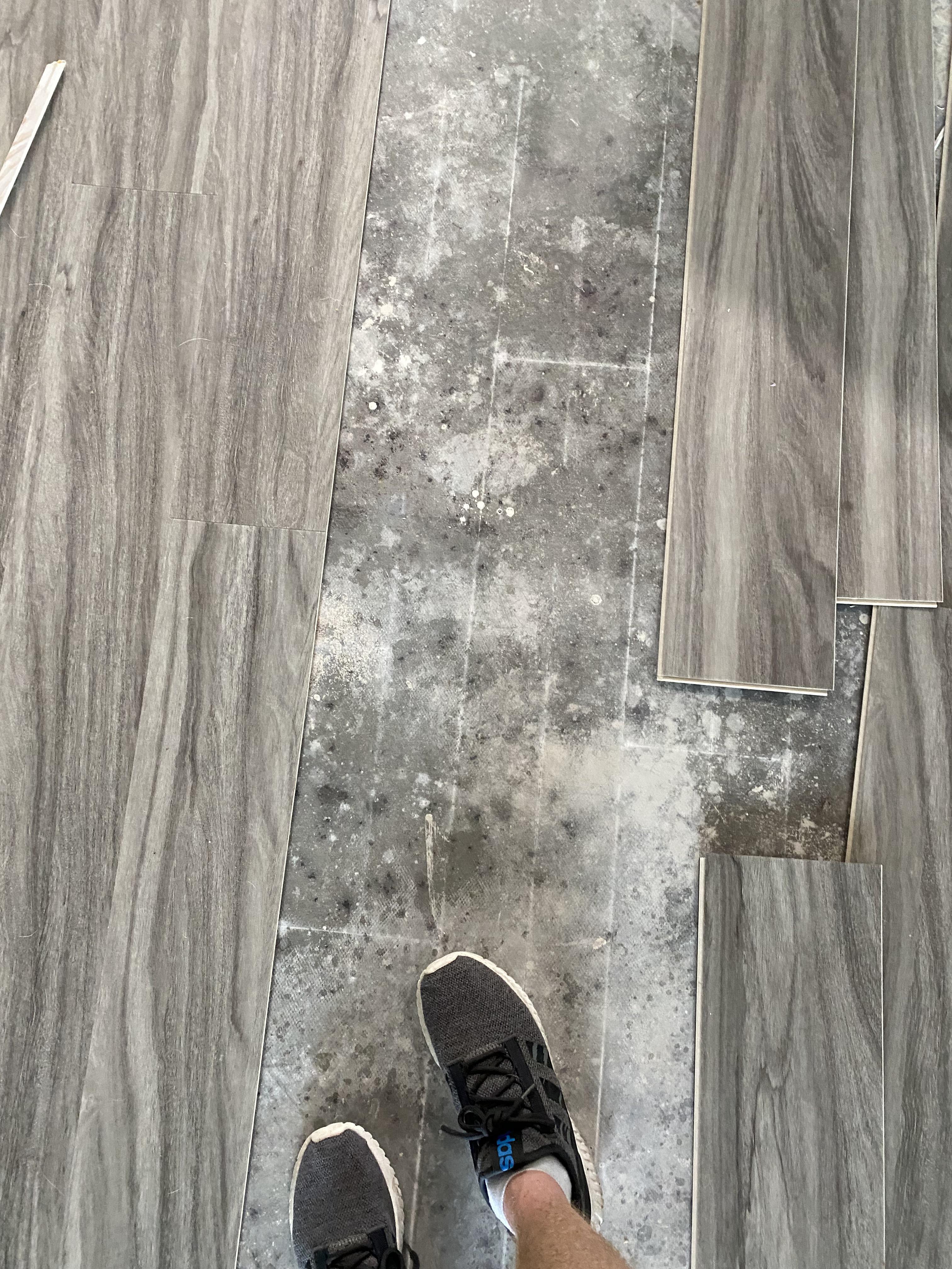 Discover more like Home: Mold on concrete slab? and Related Content | Scrolller