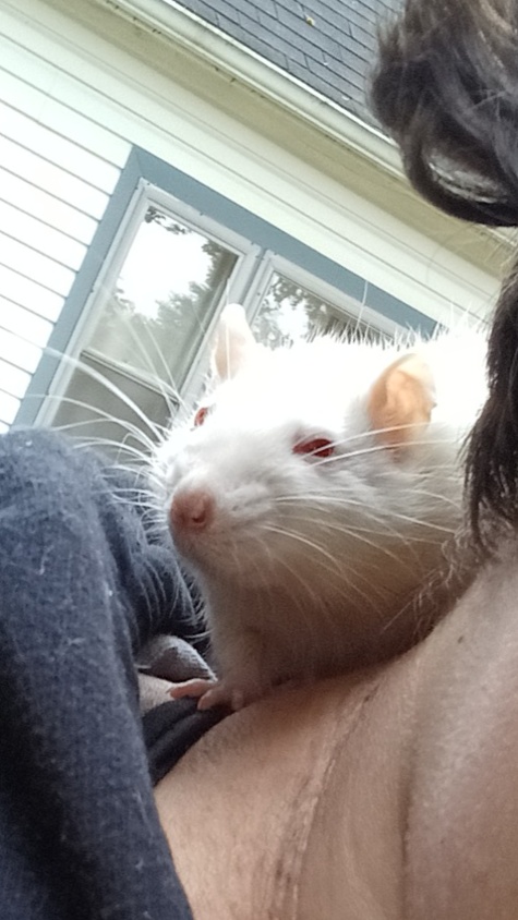 No thoughts head empty | Scrolller