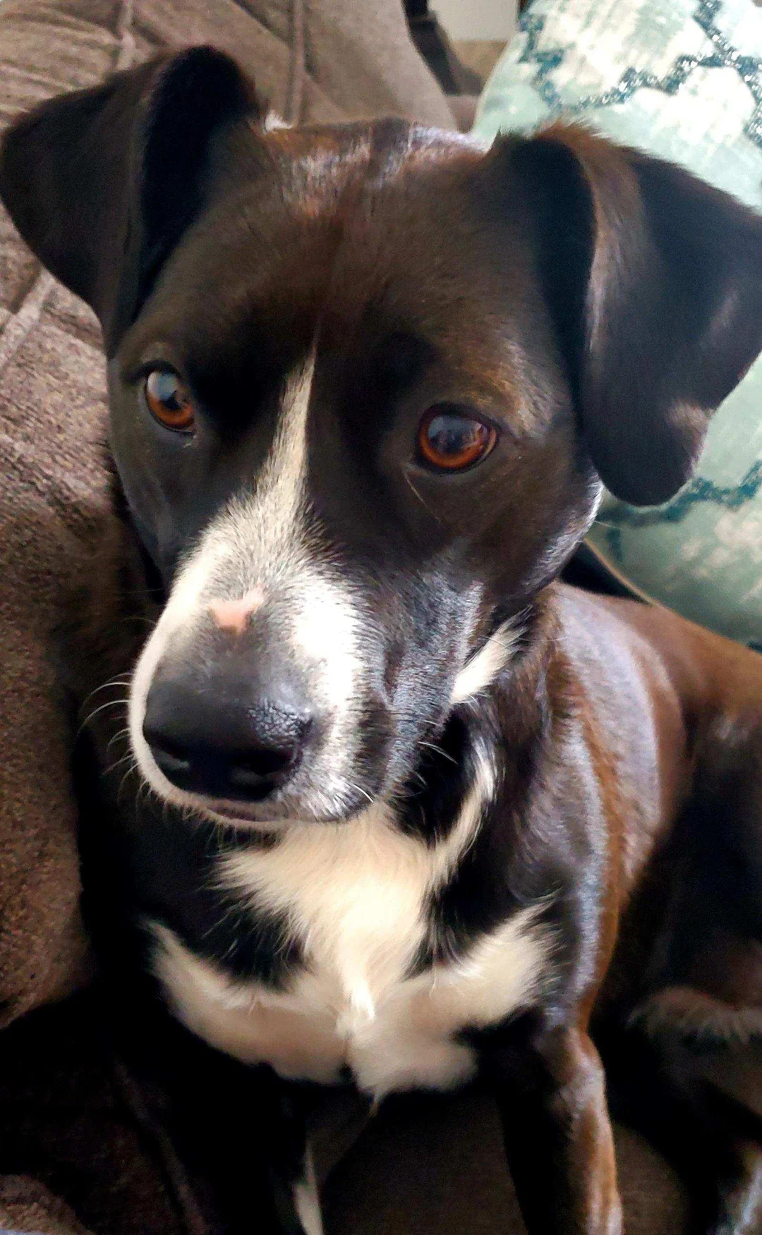 Minerva. Minnie. Minnervous | Scrolller