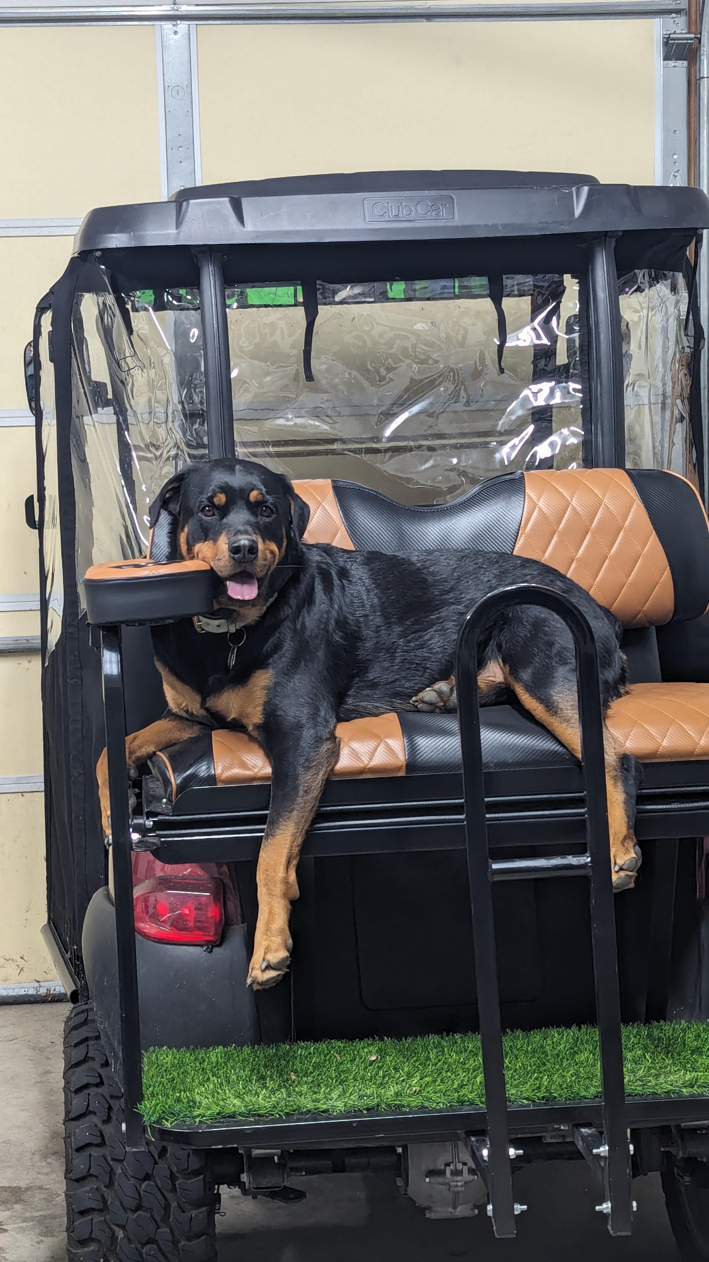 My Golf Cart Girl | Scrolller