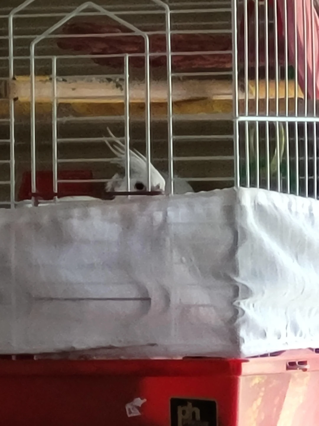 always watching | Scrolller