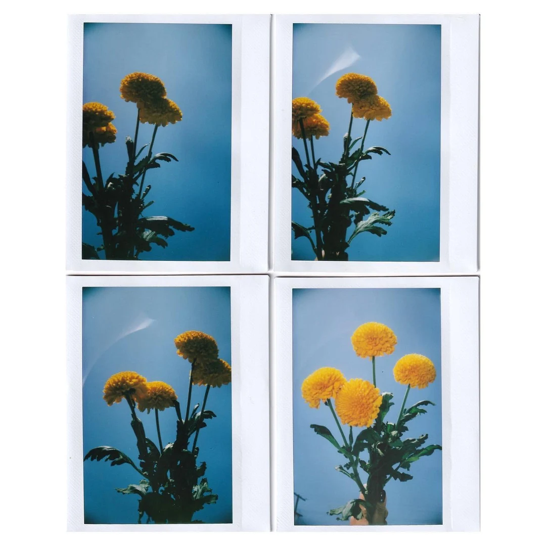 Took four tries but we got it 😅 first time trying the Instax Wide 300! | Scrolller