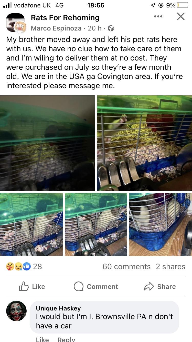 On Facebook. Can anyone help? Really upsetting seeing this | Scrolller