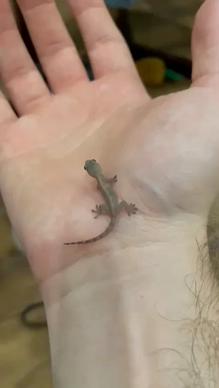 That’s pretty neat! | Scrolller