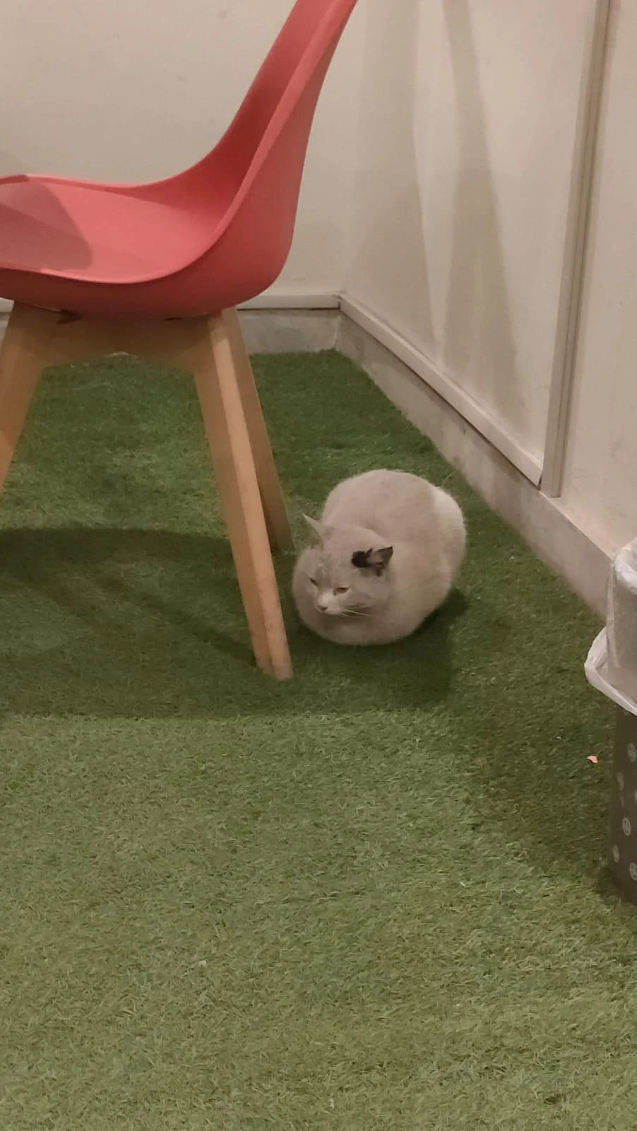 Kat in skool :D | Scrolller