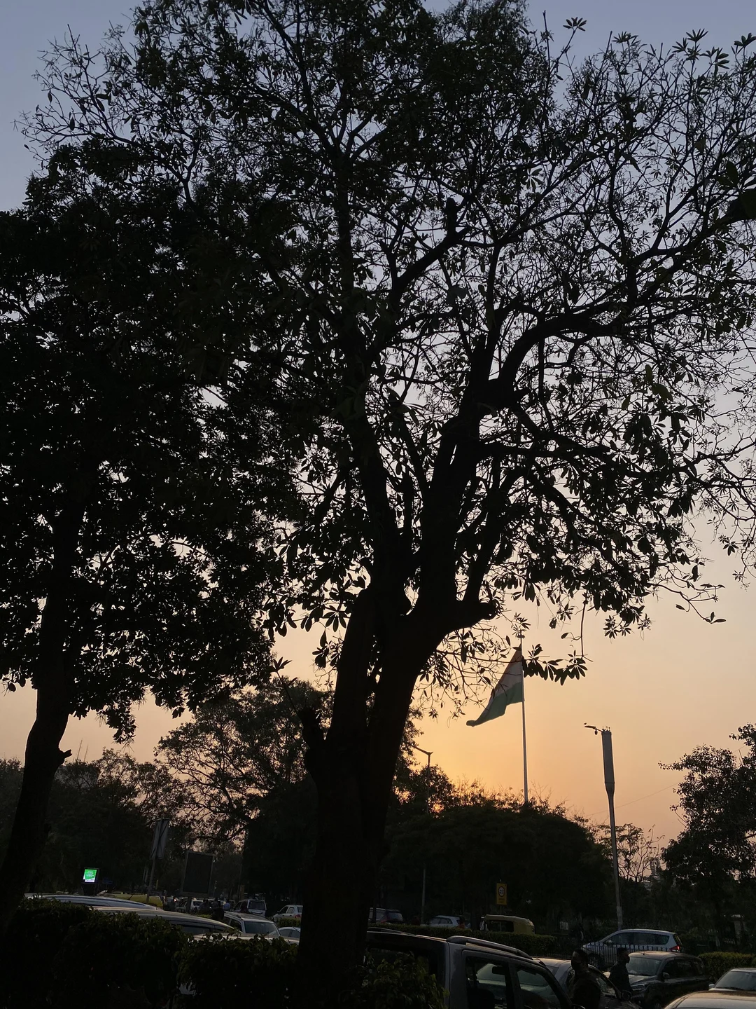 All about CP looking beautiful and picturesque. | Scrolller