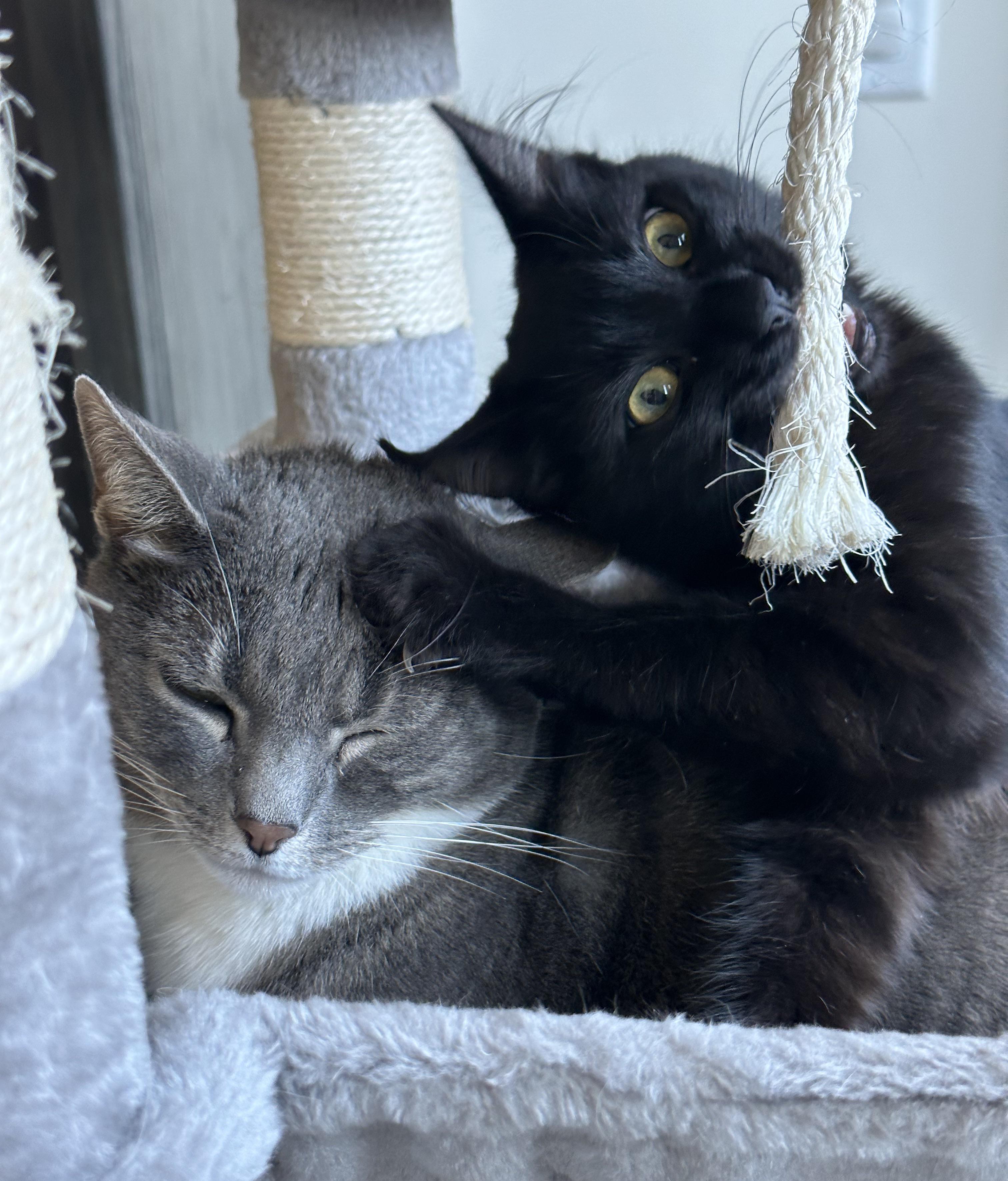 Patience is a virtue | Scrolller