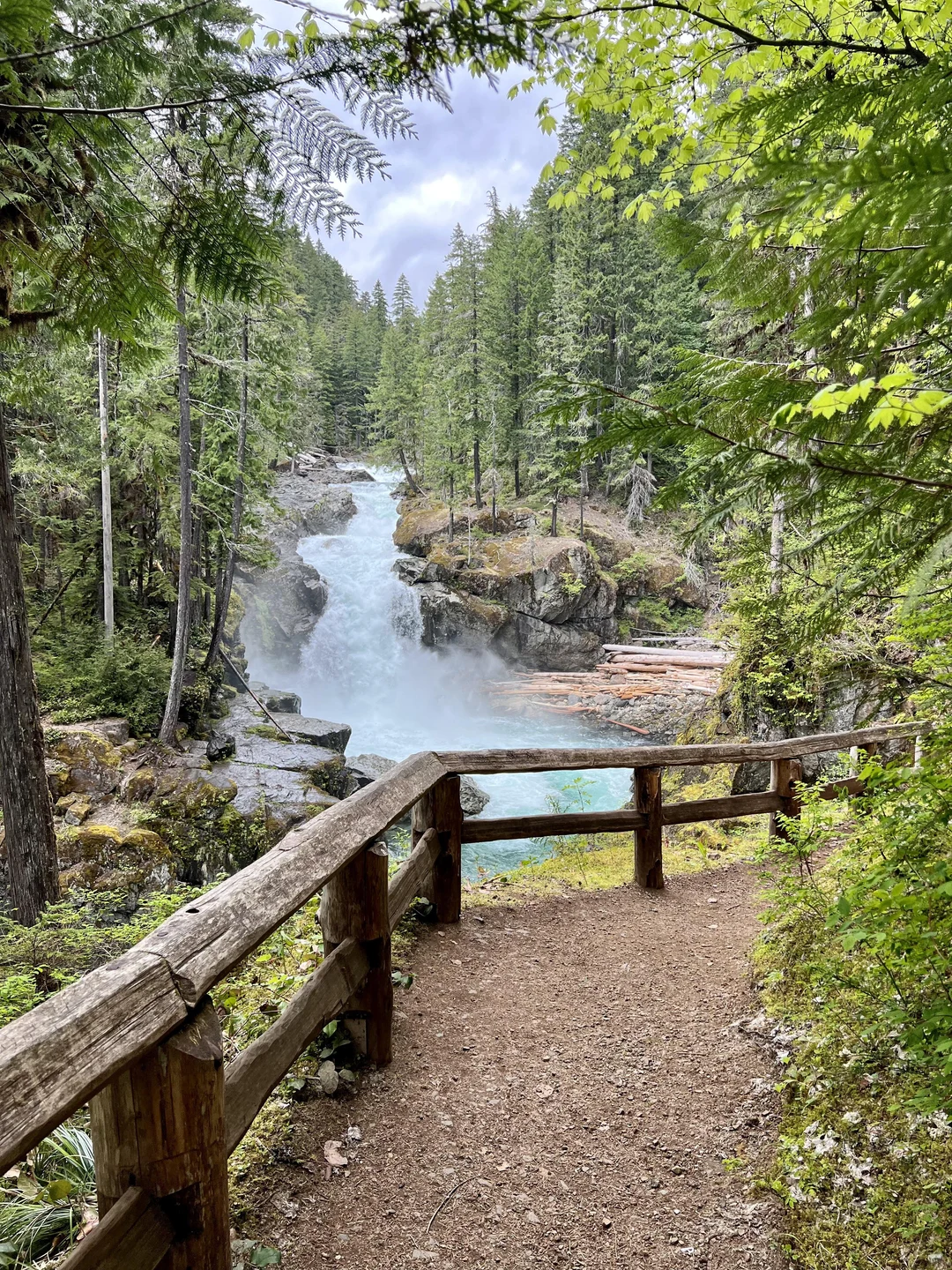 Silver Falls Loop, Mt Rainier [OC][3024x4032] | Scrolller