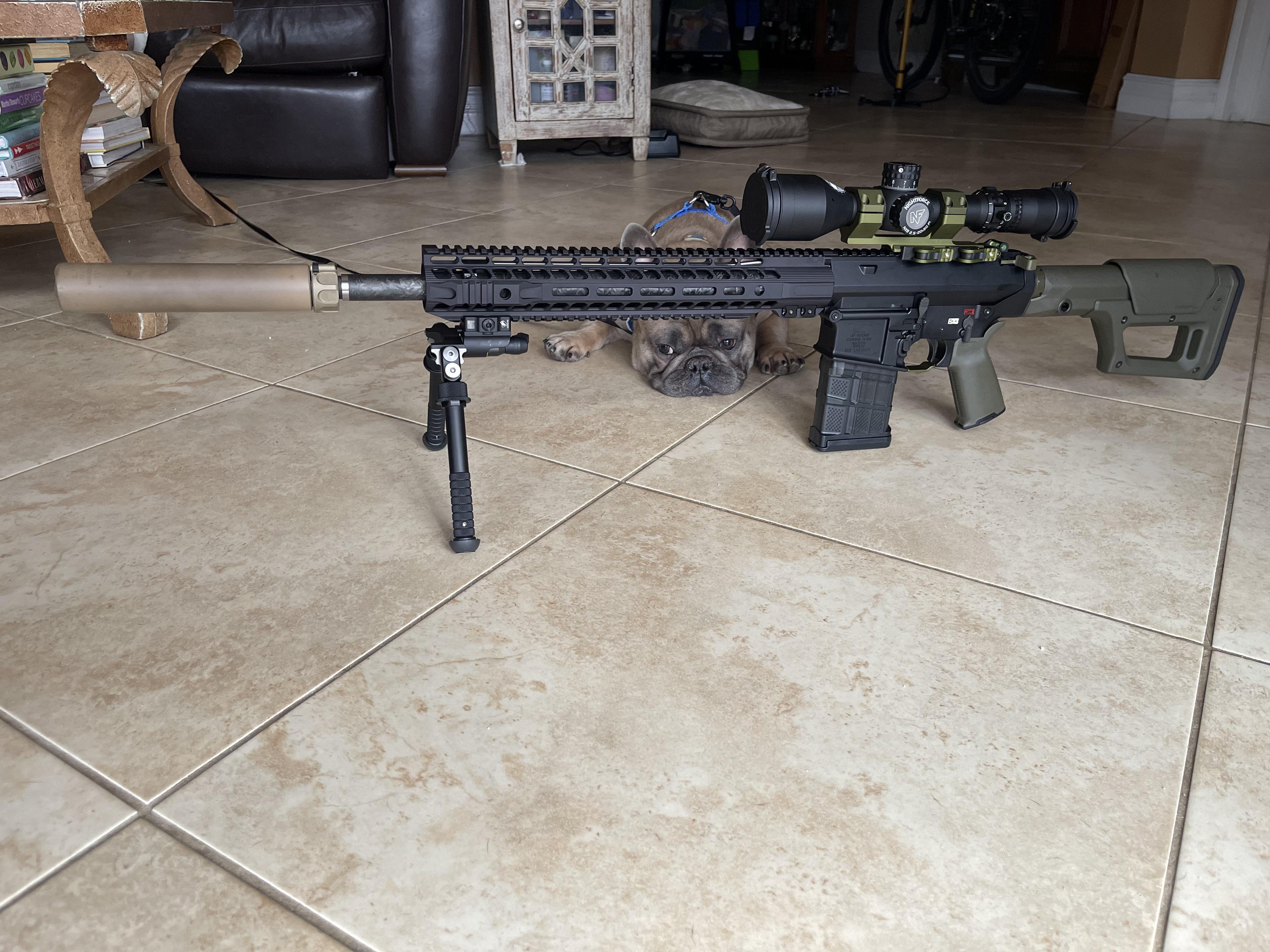 New rifle & doggie | Scrolller