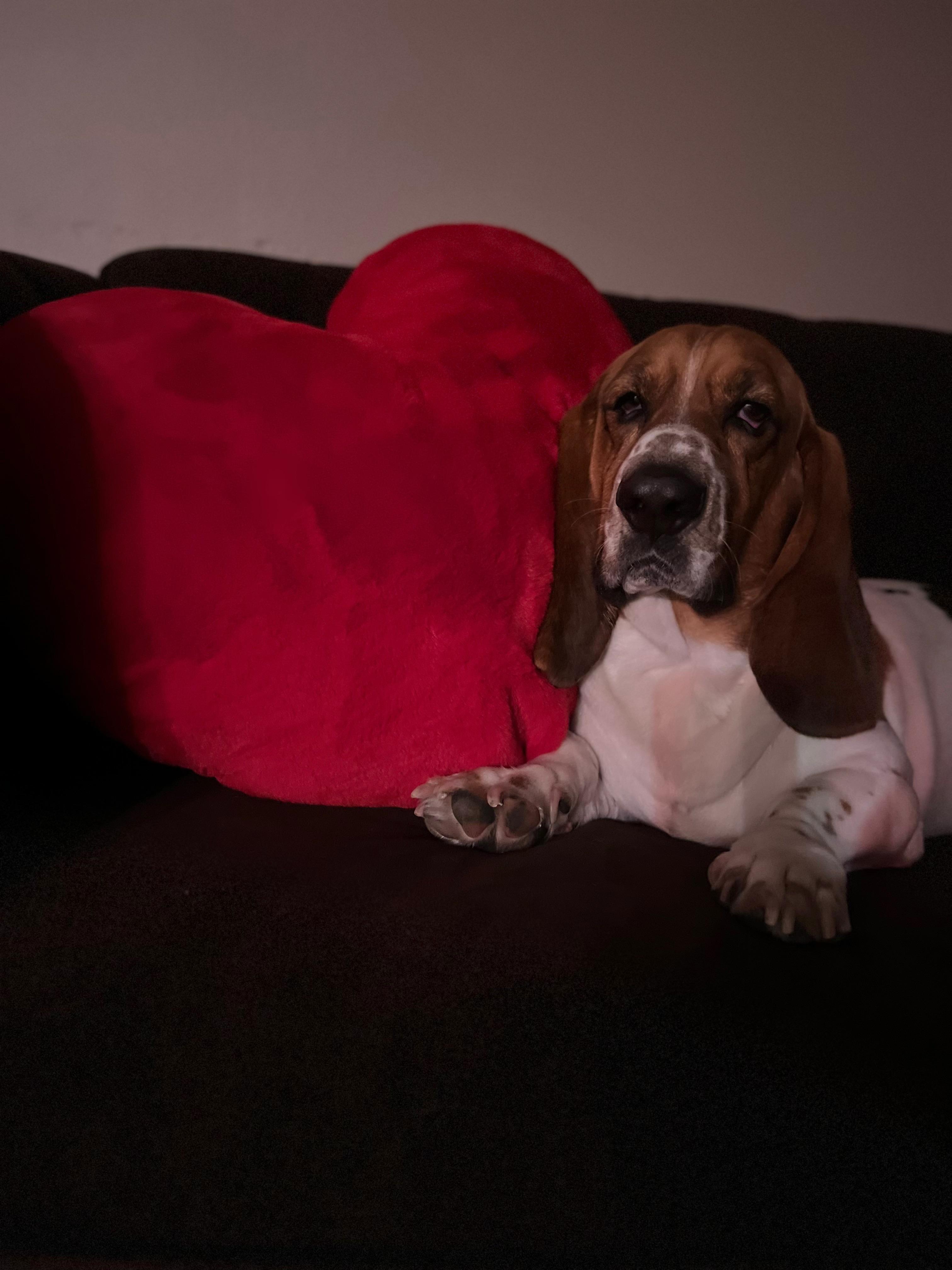 Gus is over my bullshit | Scrolller