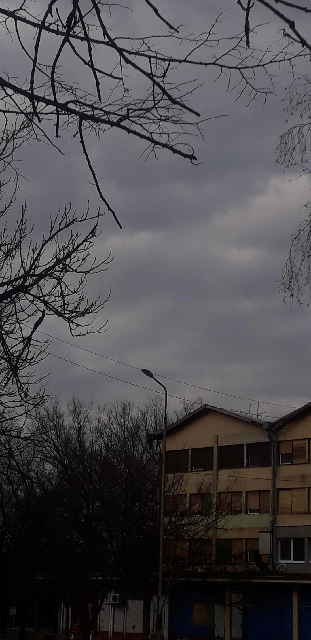 Raw photo (camera flash enhanced) | Scrolller