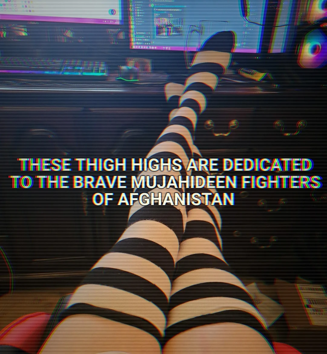 dedicated to | Scrolller