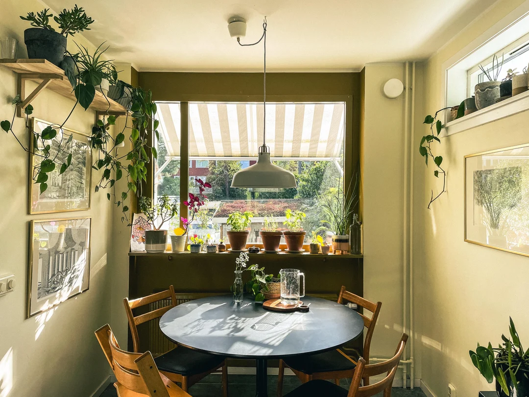 Dining area on a sunny day | Scrolller