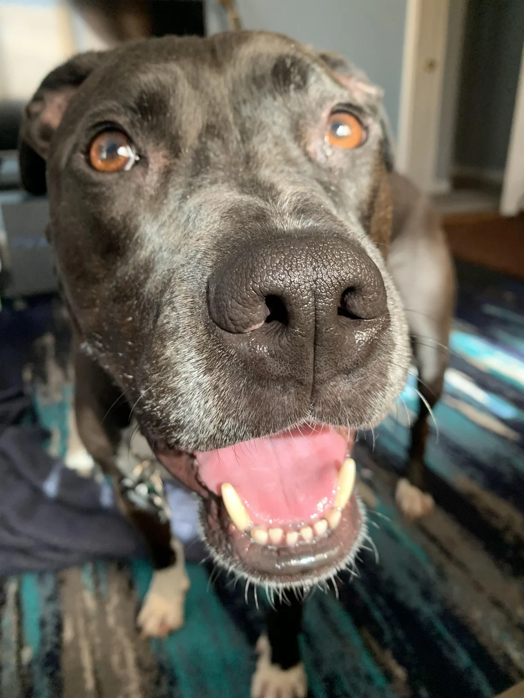 All smiles! | Scrolller