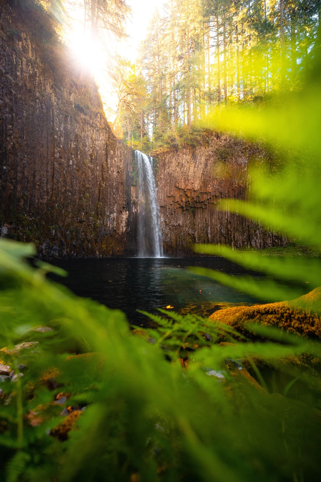 Abiqua Falls, Oregon [OC] [4333x6500] | Scrolller