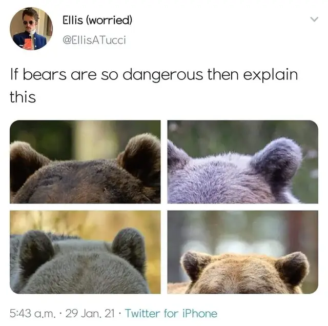 Yes, please explain. I'm all ears. 🐻🐻‍ ️🐼 | Scrolller