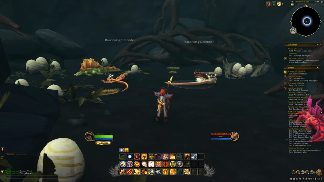 What is the objective of this daily? I killed both thing that were in there but nothing happened ...