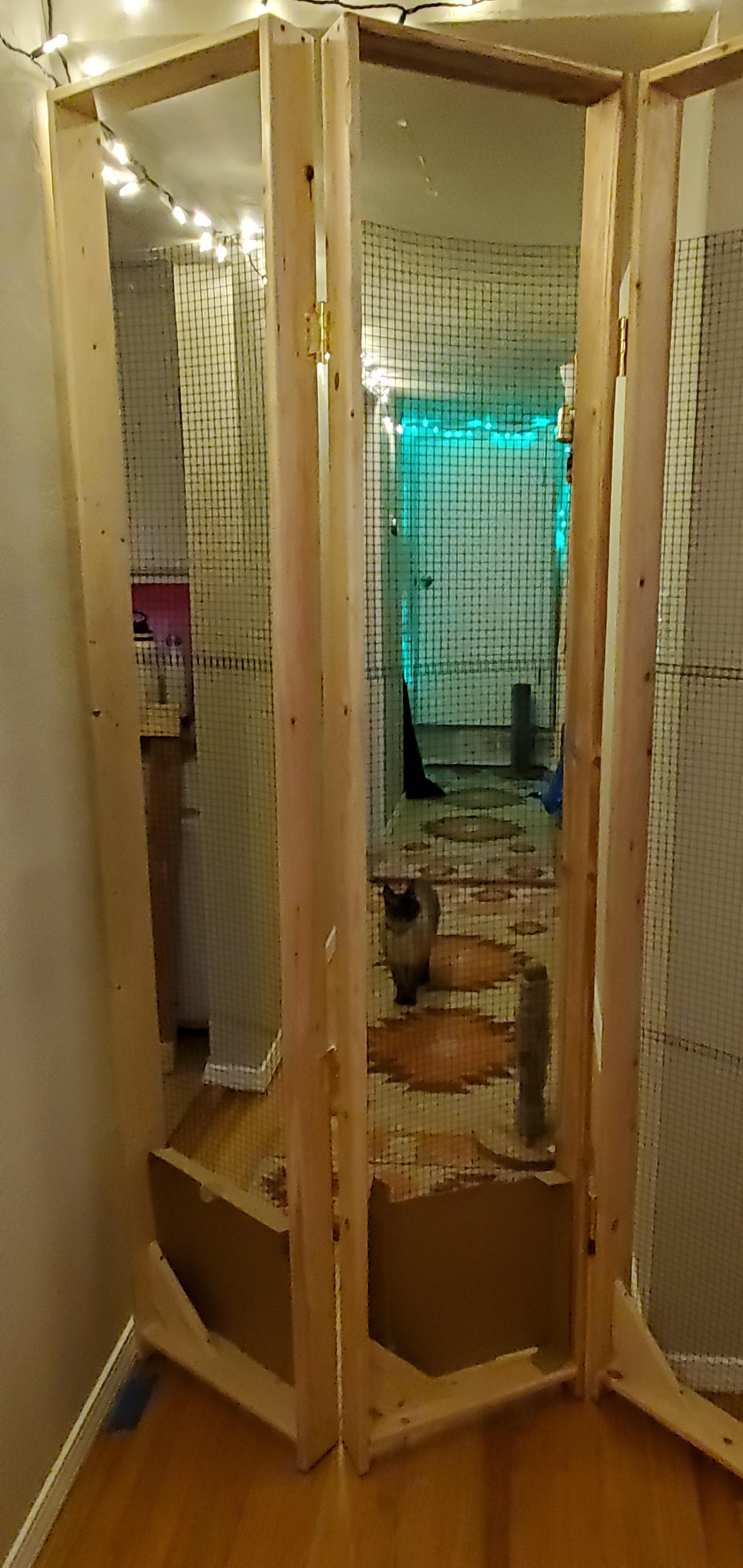 Need help figuring no-drill way to secure DIY babygate after cats figured it out | Scrolller