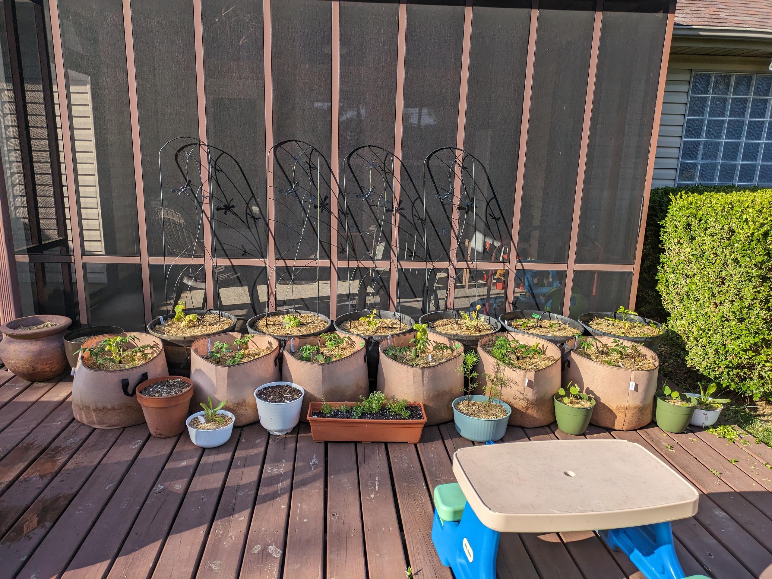 Garden is Planted Out - Now Grow!!! | Scrolller