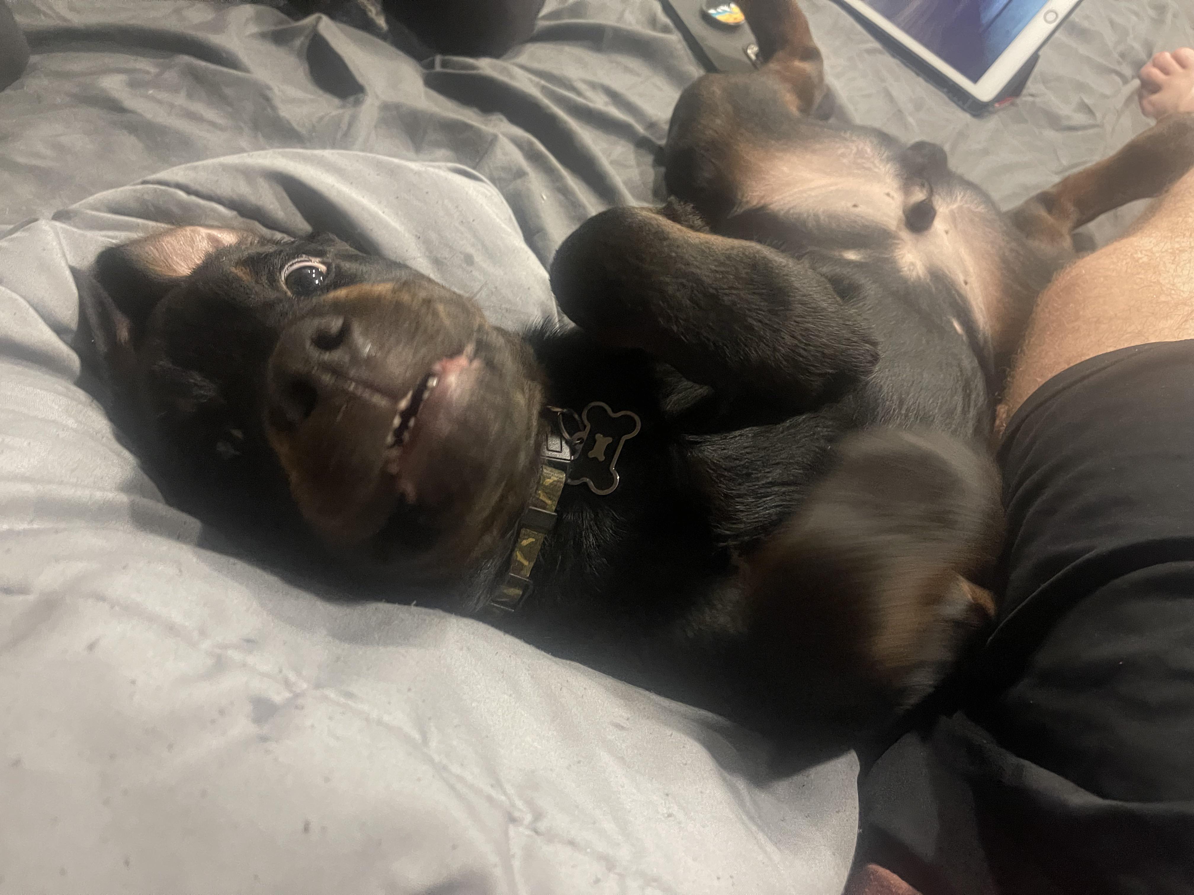 Those little teeth! | Scrolller