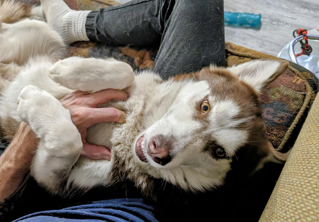 Snuggly girl | Scrolller