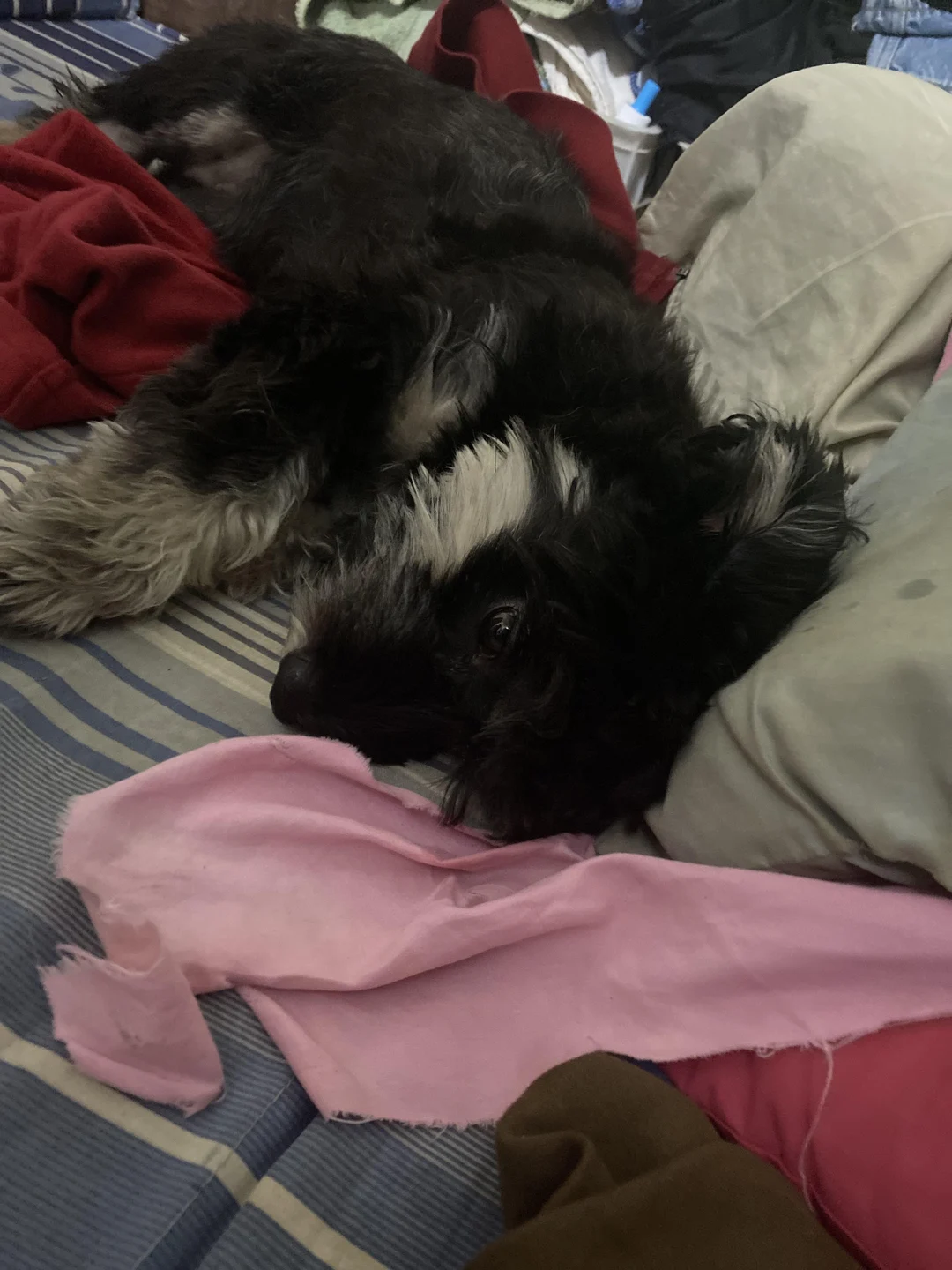 Keisha has been at it again | Scrolller