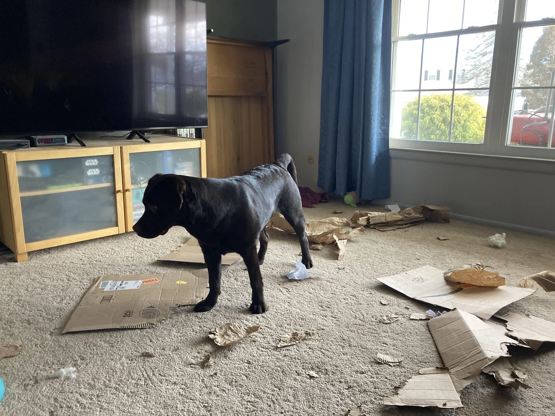 Nora surveying her destruction | Scrolller