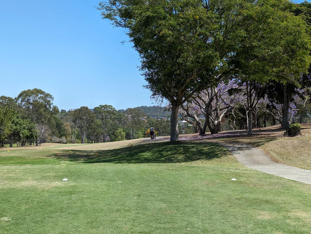 Worst tee placement I've ever seen | Scrolller