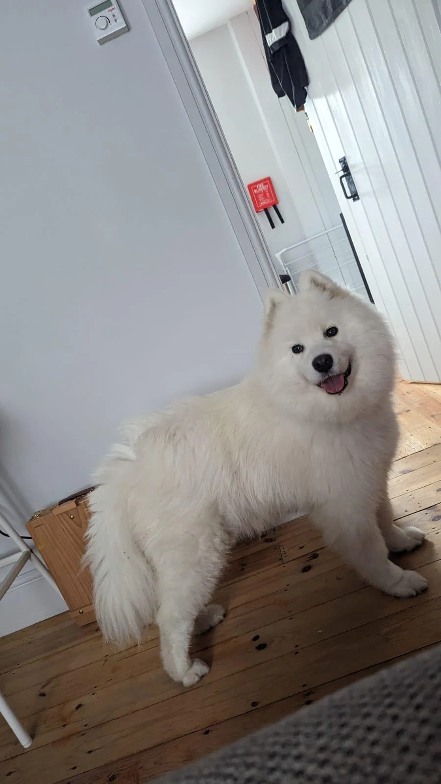 My best mate | Scrolller