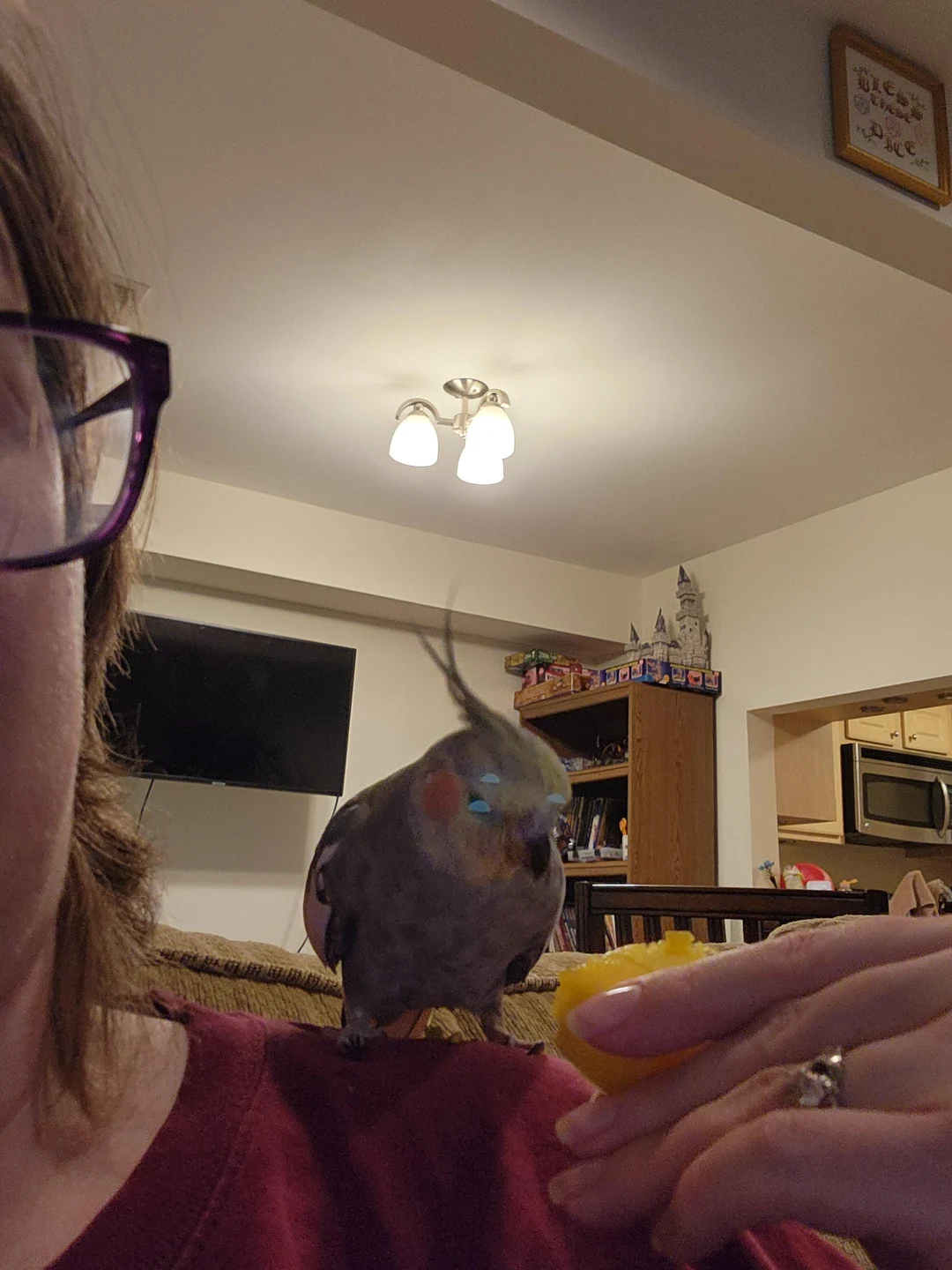 Mango tacos? | Scrolller