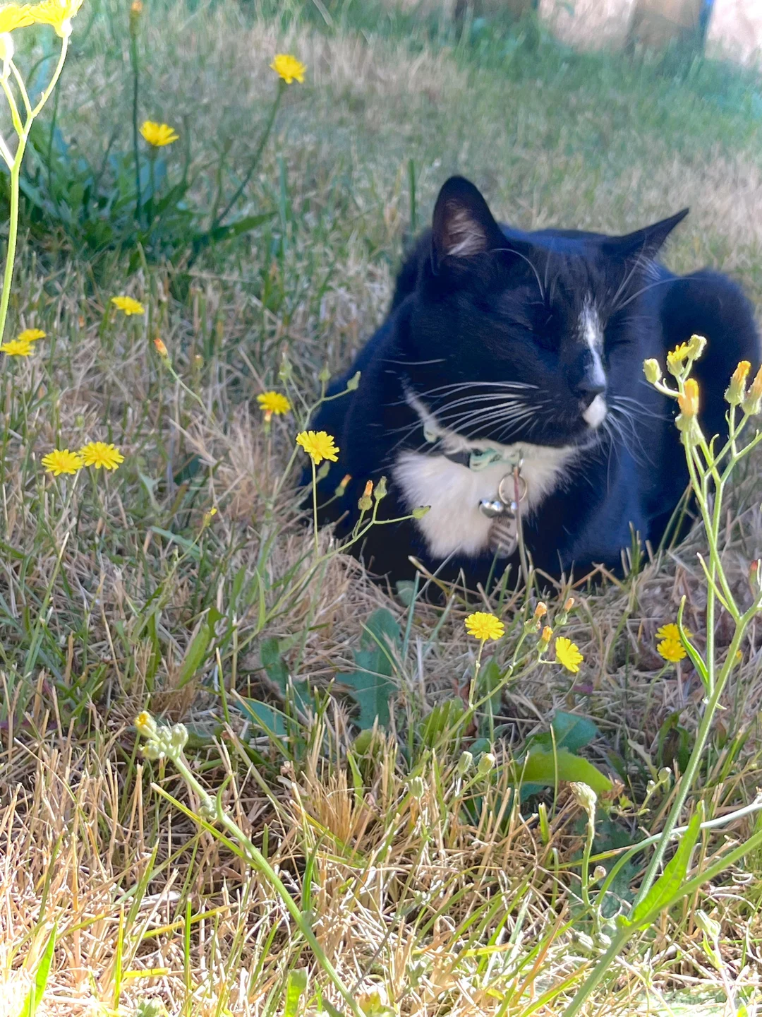 Outdoor loaf | Scrolller