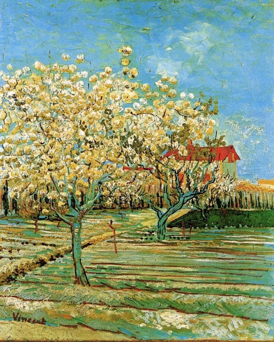 Orchard in Blossom, Oil on Canvas, Vincent van Gogh, 1888. | Scrolller