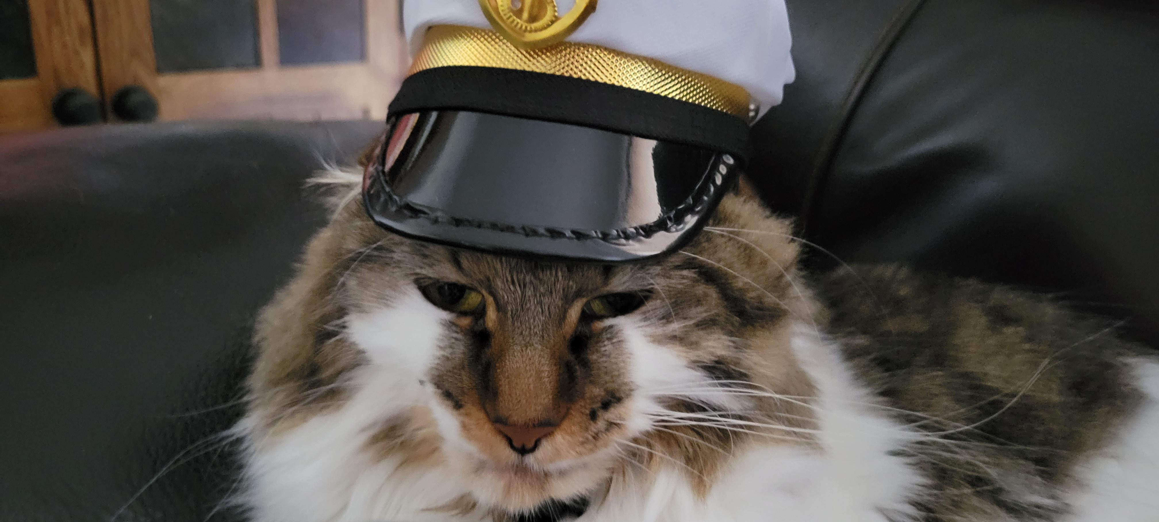 Captain Fiona | Scrolller