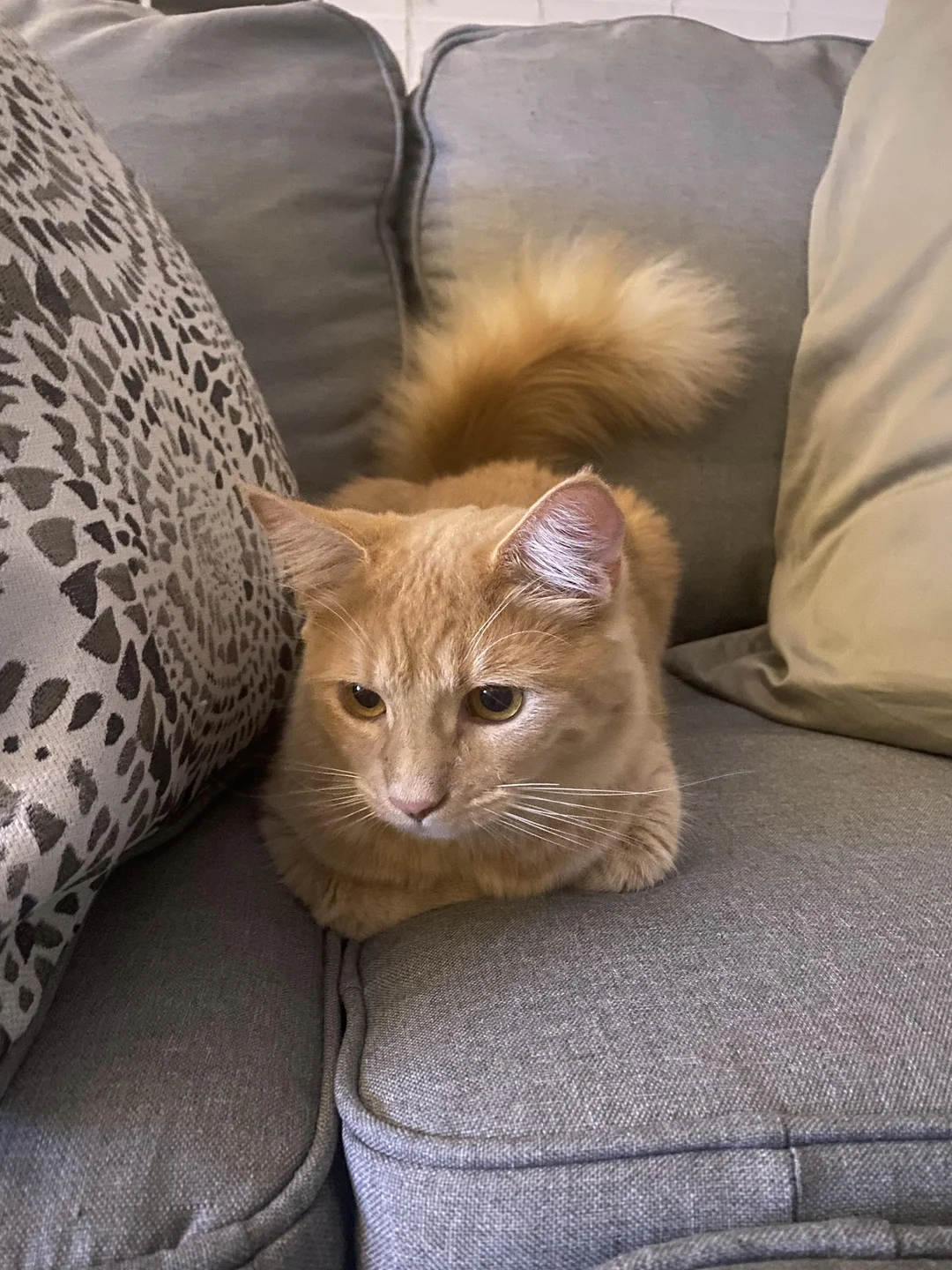 This loaf came out very fluffy | Scrolller