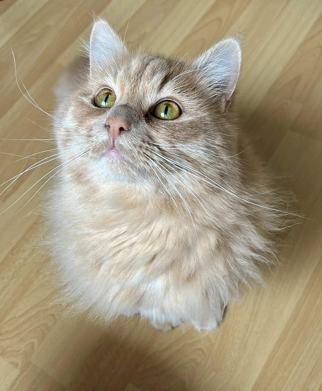 Here’s my cloud | Scrolller