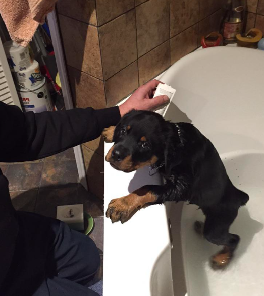 Jackson's First Bath Splashes of Memories | Scrolller