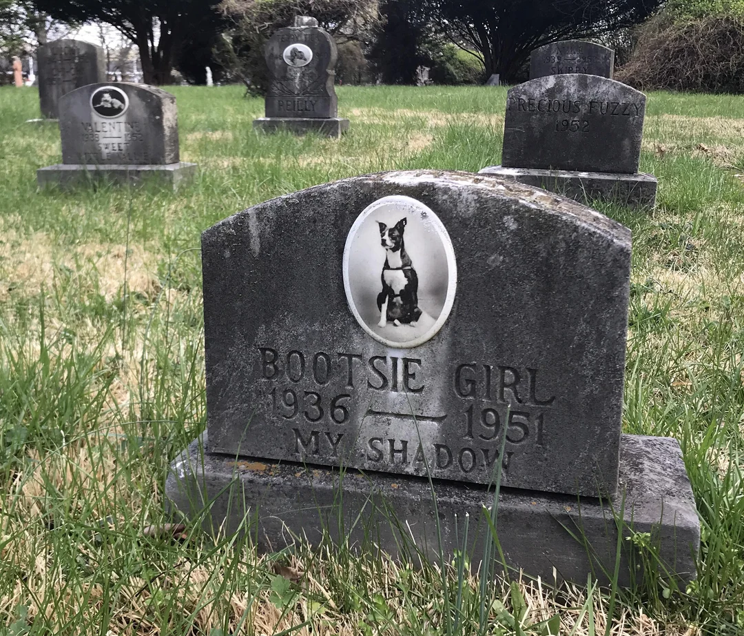 Aspin Hill Memorial Park in Silver Spring, Maryland is my happy place. | Scrolller