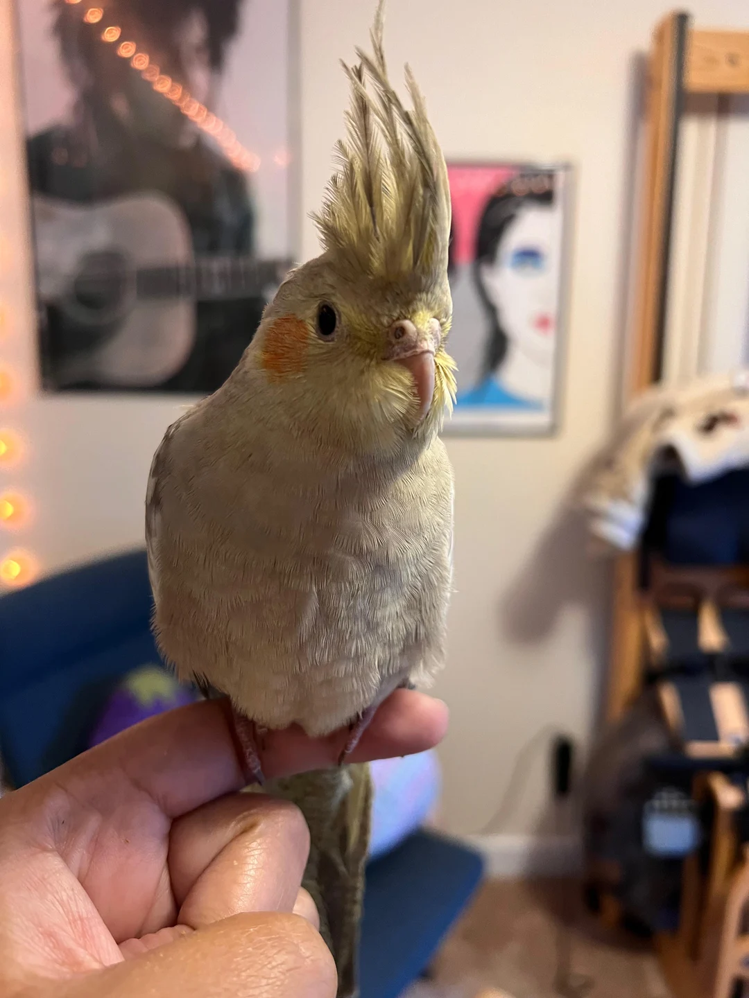 Meet Orville ‘Ori’ Peck! 🥰 | Scrolller